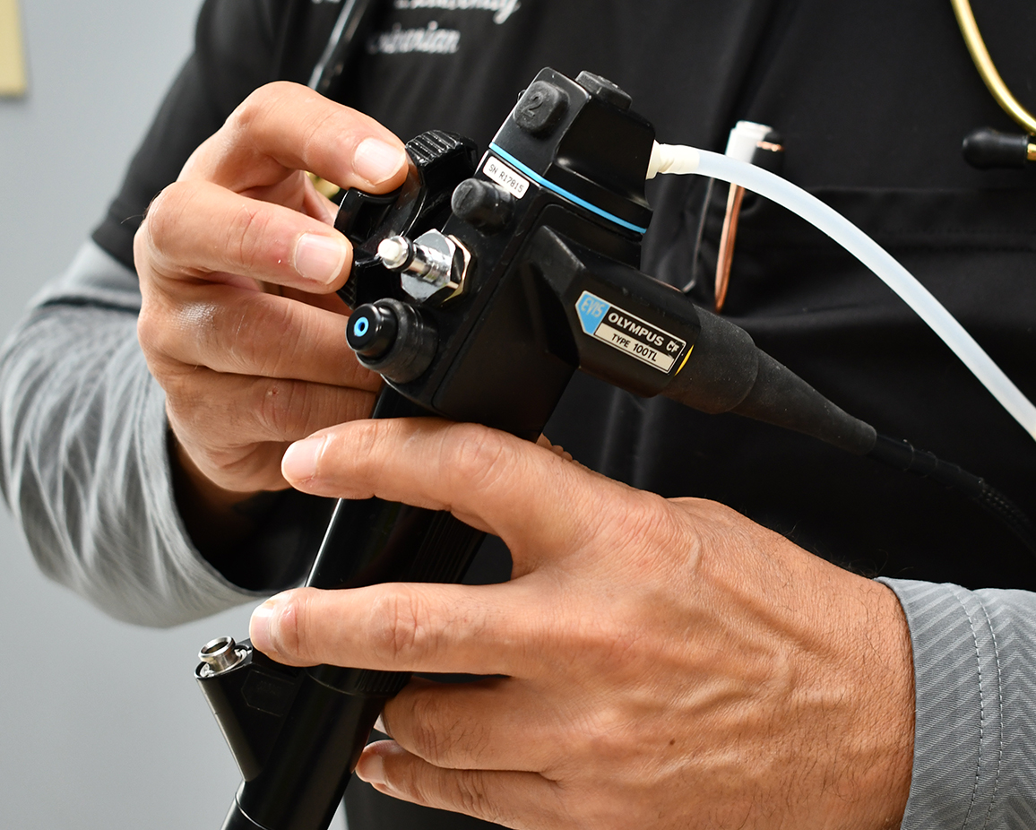 Endoscopy | ValuePetVet | Norwalk CT | Monroe CT | Vet in CT