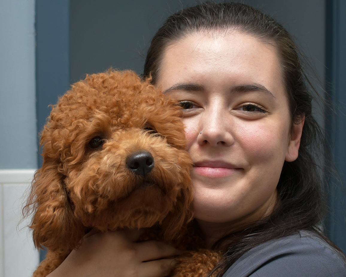 Affordable Vet Care for Dogs & Cats | Value Pet Vet