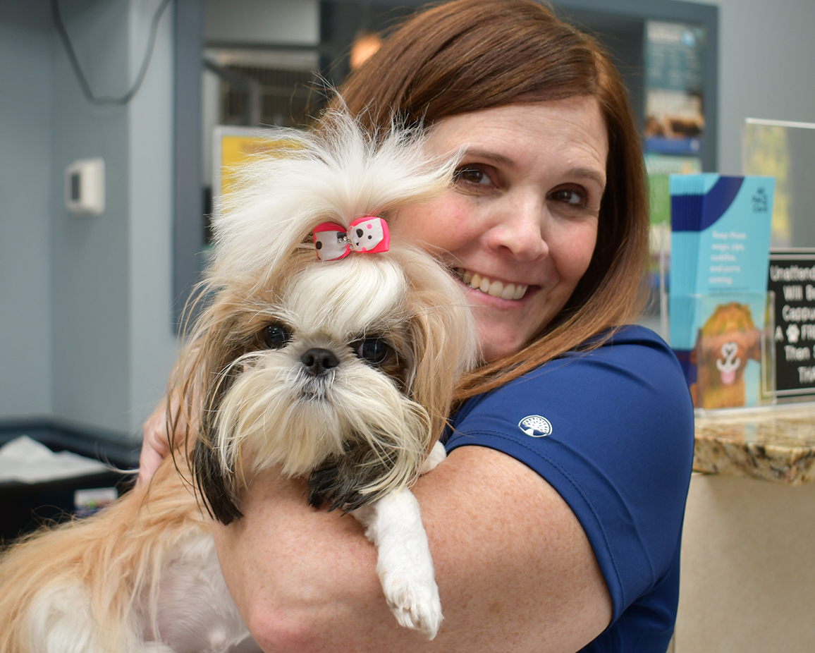 Request an Appointment | Value Pet Vet | Vet in CT | Vet in IL