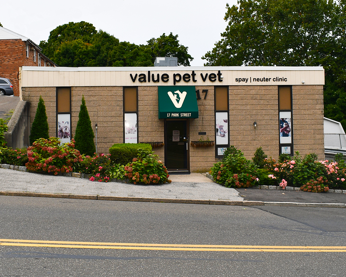 Norwalk CT - Value Pet Vet