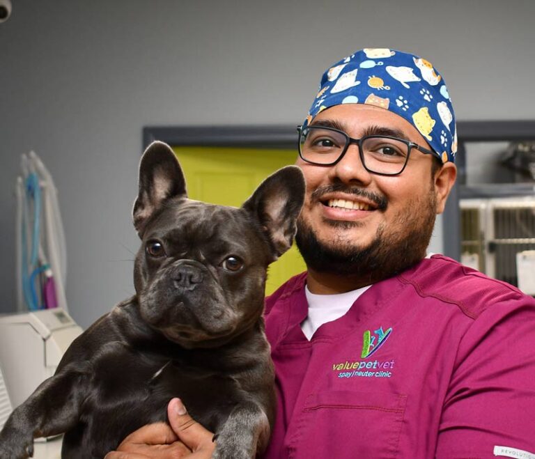 Home - Value Pet Vet