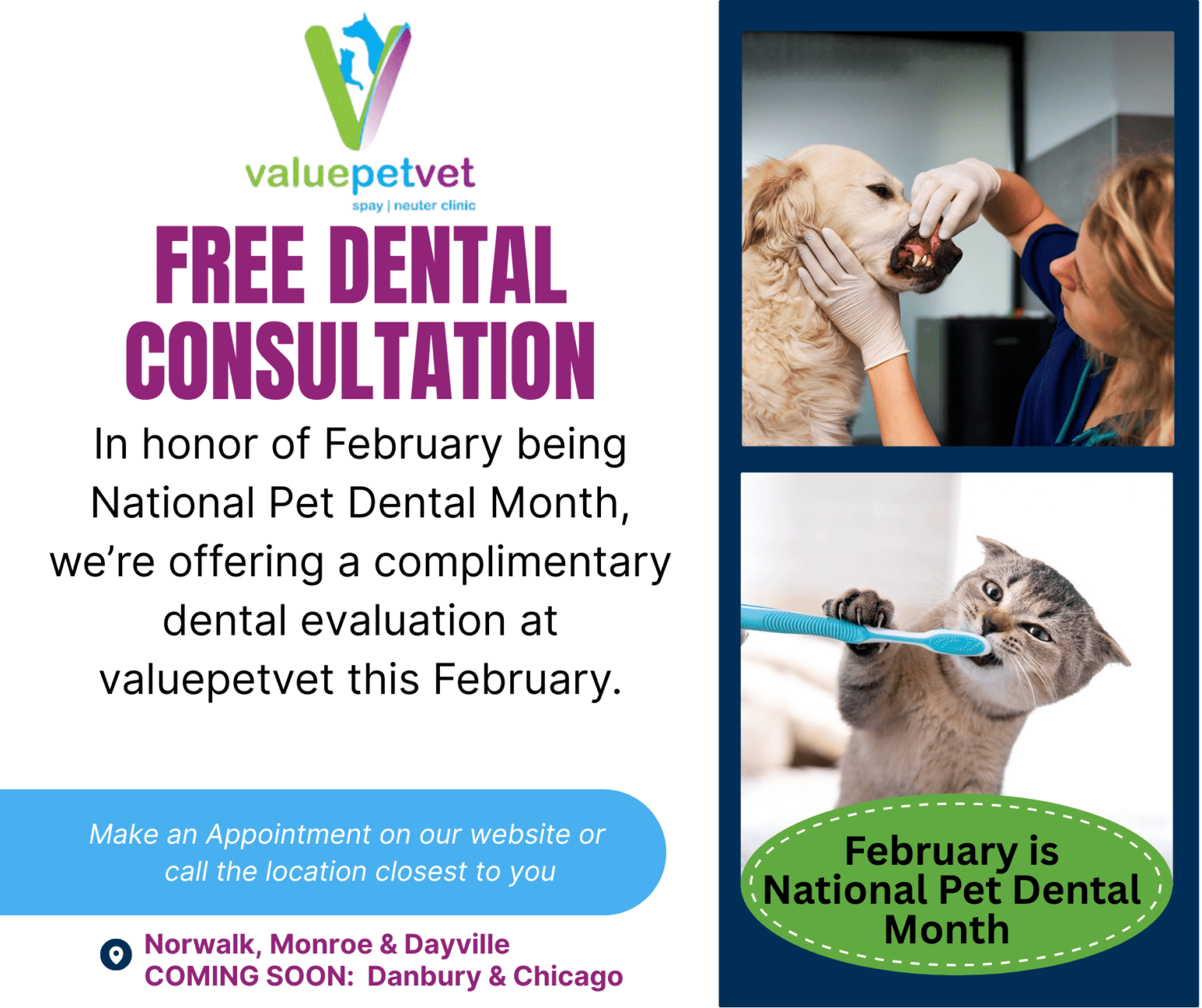 Norwalk CT - Value Pet Vet